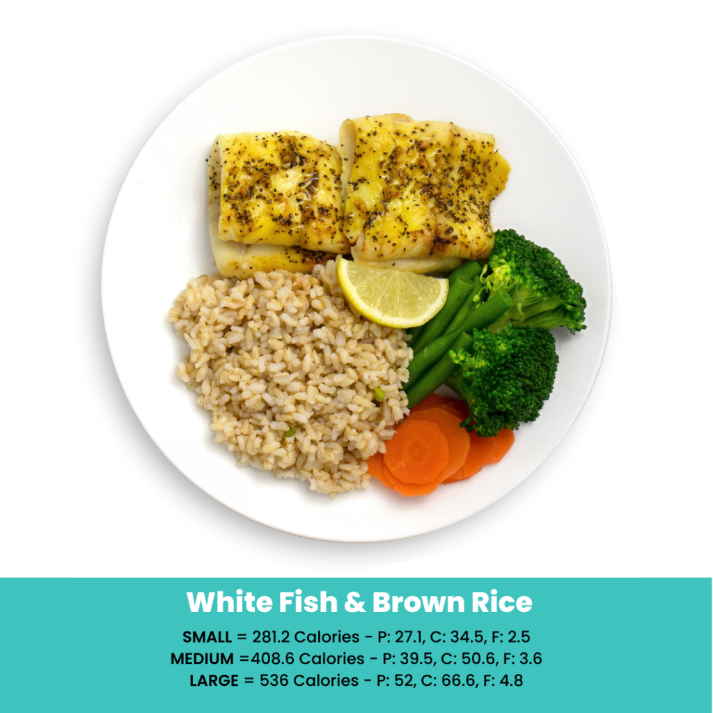 1 Meal Per Day - Total 6 Meals - Muscle Chow