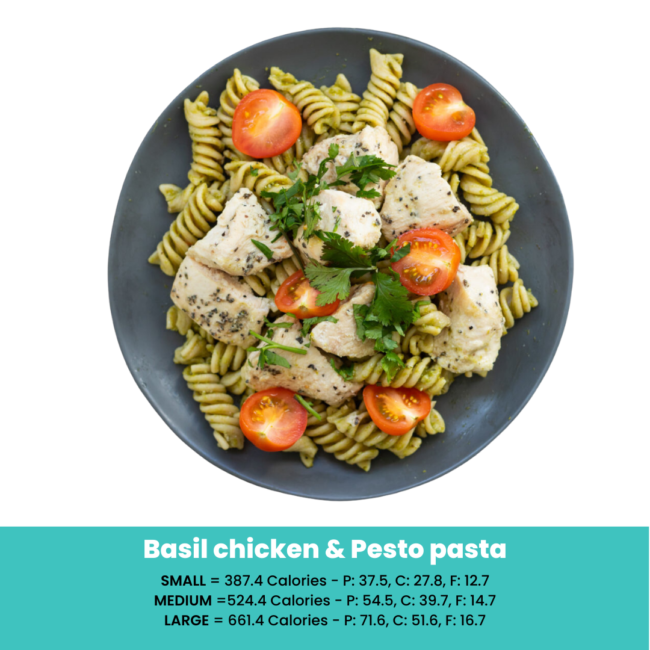 1 Meal Per Day - Total 6 Meals - Muscle Chow