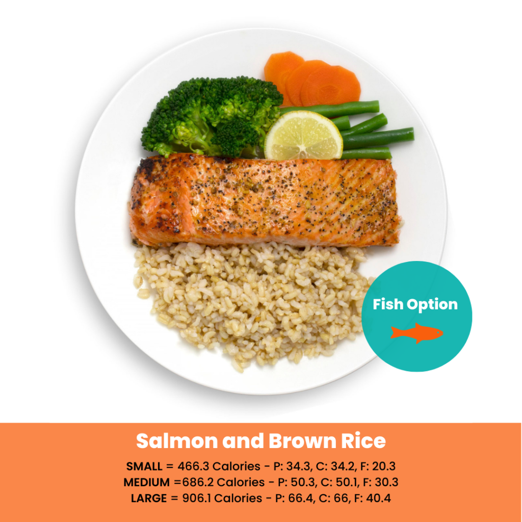 1 Meal Per Day - Total 7 Meals - Muscle Chow